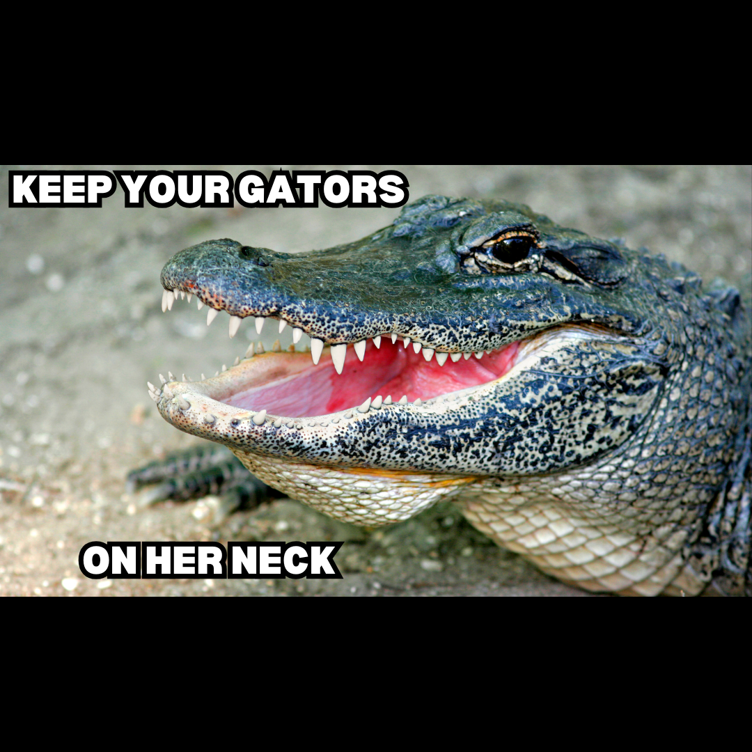 KEEP YOUR GATORS ON HER NECK (audiobook) – AlphaRonomy